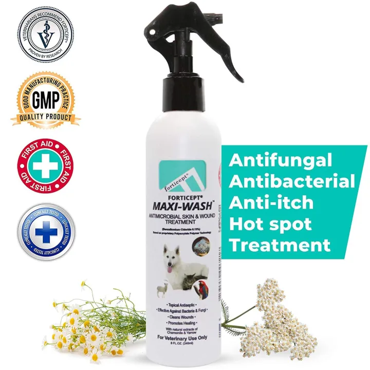Forticept Maxi-Wash Antiseptic Spray for Hot Spots, Anti Itch Spray ...