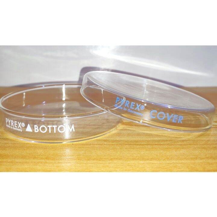 PYREX Petri Dish Glass Made in Germany | Lazada PH