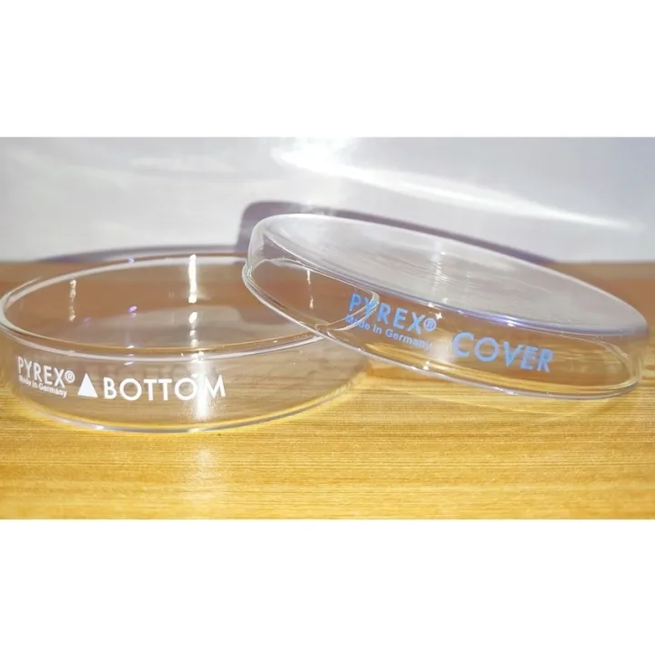PYREX Petri Dish Glass Made in Germany | Lazada PH