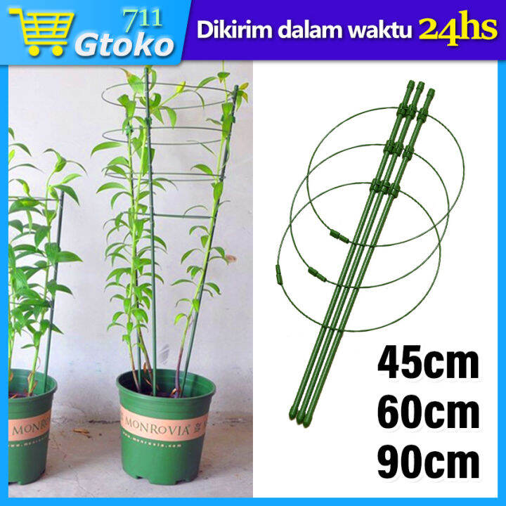 Climbing Trellis Plant Support Cagak Penopang Penyangga Ajir Tanaman ...