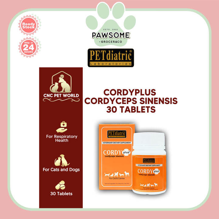 PETDIATRIC Cordy Plus 30 Cordyceps Sinesis For Cat & Canine 300mg x 30 Tablets | Lazada