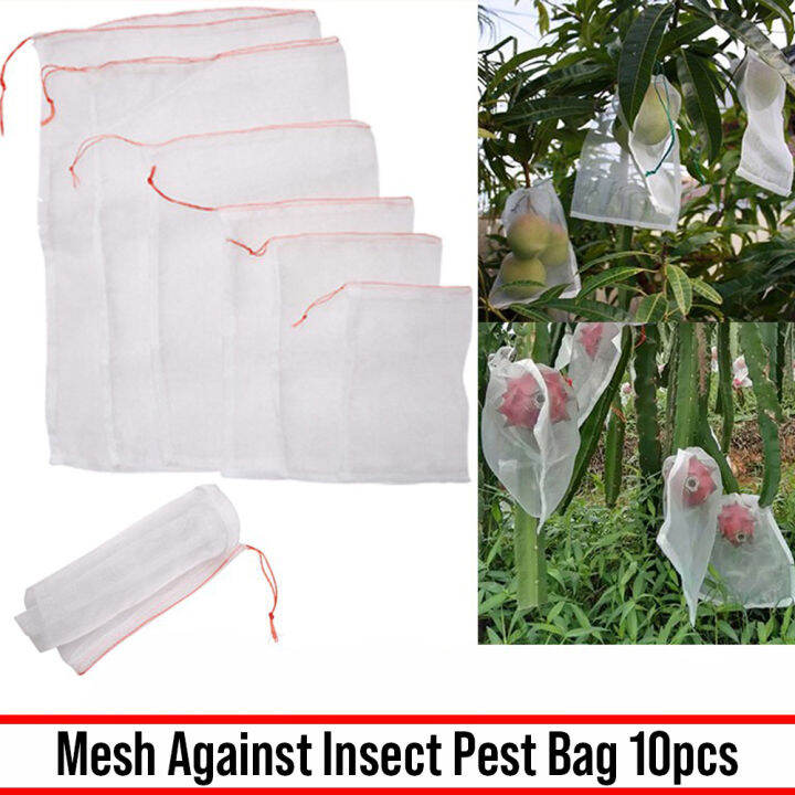Ship from KL🚚 Garden Fruit Net Bag Plants Vegetable Fruit Protection ...