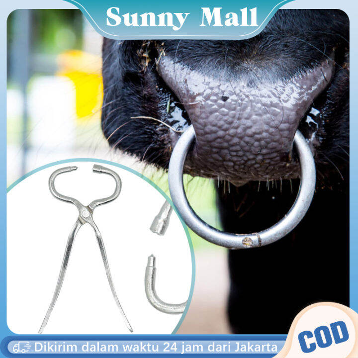 35cm Tang Penjepit Hidung Sapi Alat Tindik Pelubang Hidung Sapi Cattle ...