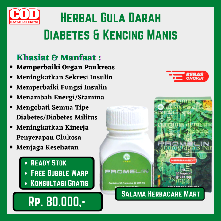 PROMELIN 30kps Herbal Obat Diabetes Kencing Manis Memperbaiki Pankreas ...