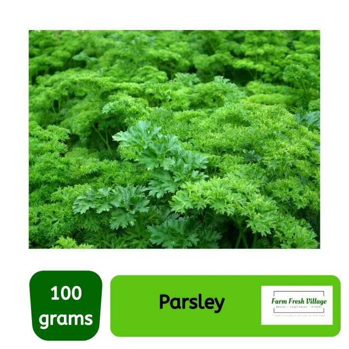 Farm Fresh Village Parsley 100 grams | Lazada PH