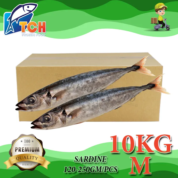 SARDIN SAIZ M, TCH FROZEN FOOD, FRESH FROZEN SEAFOOD, WHOLESALE ...
