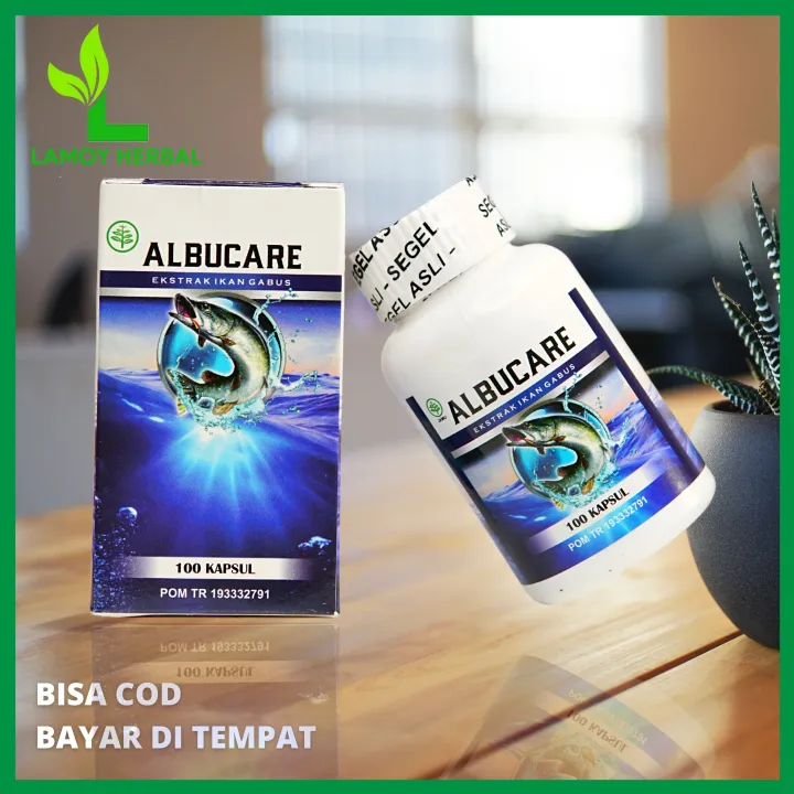 Albucare - Herbal Alami - Original 100% - Obat Batu Ginjal - Penghancur ...