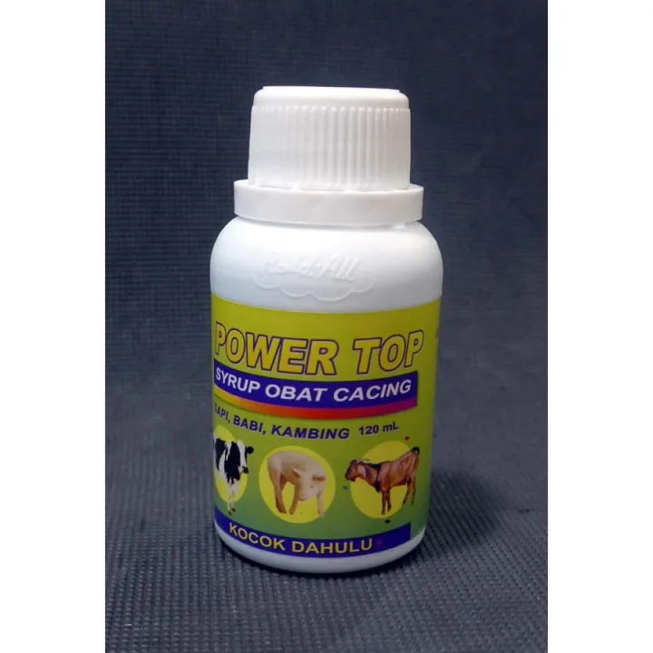 Obat Cacing Kambing Raid All Power Top Syrup 120m | Lazada Indonesia