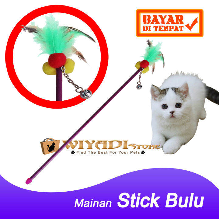 Mainan Kucing Cat Toys Stick Bulu Rainbow | Lazada Indonesia