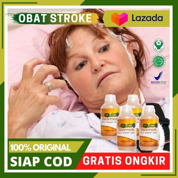 Obat stroke Herbal, Stroke Ringan, Stroke Iskemik, Stroke Hemoragik ...