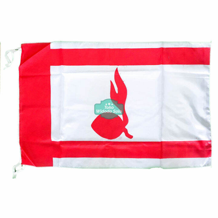 Bendera Cikal Pramuka Tunas Gudep 45x75cm - 1 Buah | Lazada Indonesia