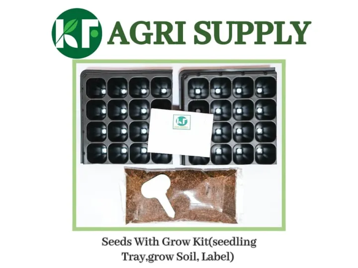 BASIC SEEDLING GROW KIT CONSIST OF 16 HOLES SEEDLING TRAY, GROW SOIL ...