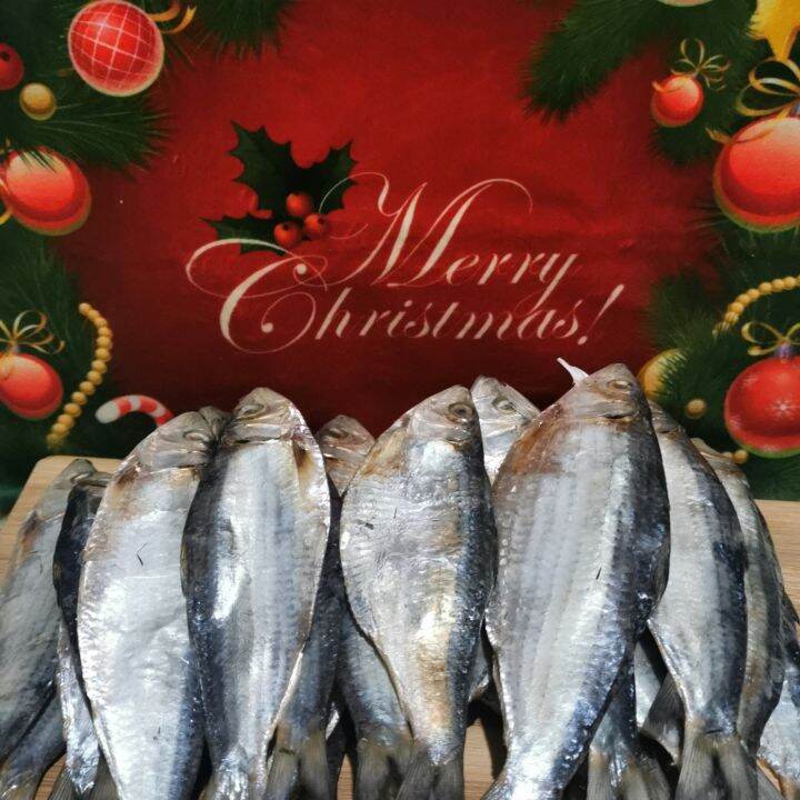 Large Size Dried Fish (Tuyo) Bayanihan Food | Lazada PH