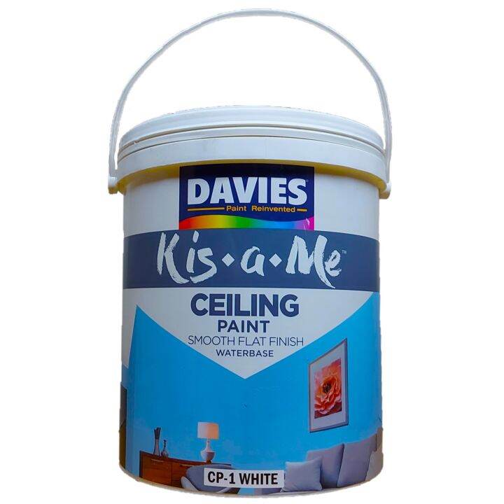 Davies Kis-a-Me Ceiling Paint Smooth Flat Finish CP-1 White - 4L ...