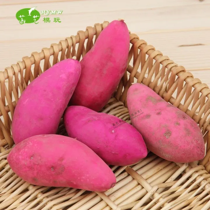 Simulation model of yams red sweet potatoes purple potato yam bubble ...