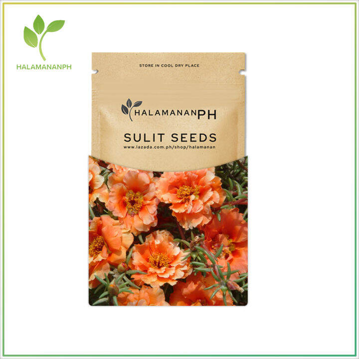 Portulaca - Extra Double Orange | 600 Seeds | Premium Flower Seeds | [Halamanan PH] | Lazada PH