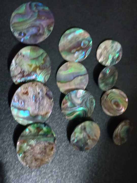 Kancing Baju Kerang Warna Unik camo isi 12pcs | Lazada Indonesia