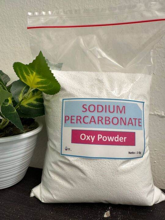 Sodium Percarbonate/H2O2 Powder/Oxy Bleach - Pemutih | Lazada Indonesia