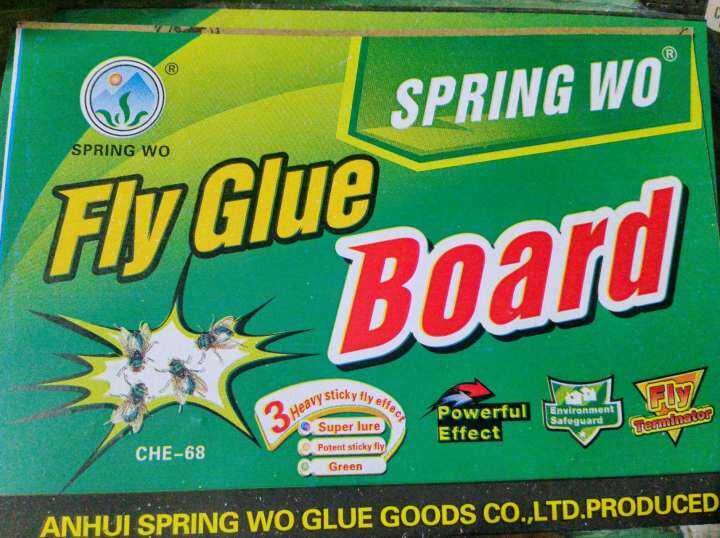 Fly Glue Board Fly/Langaw Catcher Glue Board Strong Sticky Pest/Flies ...