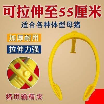 Breeding frame with pig insemination back clip, breeding artifact for ...