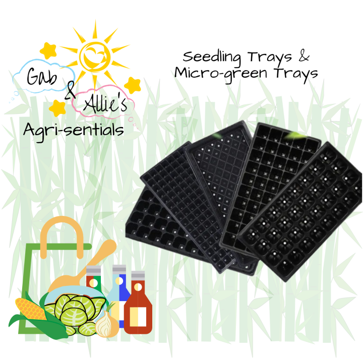 Micro-green trays and Seedling Trays | Lazada PH