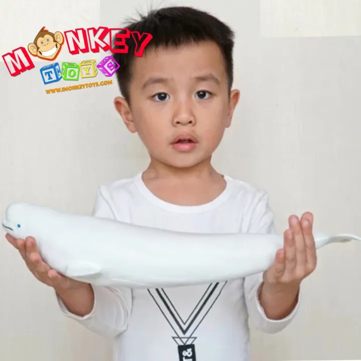 Monkey Toys - Whale Beluga ปลาวาฬบีลูก้า ขนาด 41.00 CM แบบนิ่ม (จาก ...