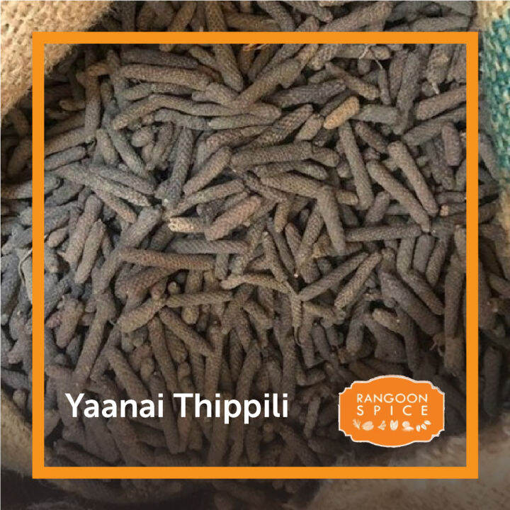 XMAS SALE !!! Yaanai Thippili 50g (Indian Long Pepper) / Indian Herbs ...