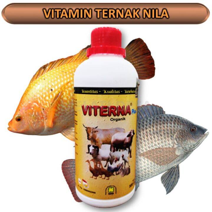VITAMIN IKAN NILA CEPAT PANEN / Peningkat Pertumbuhan dan Kekebalan Ikan Nila / VITAMIN TERNAK ...