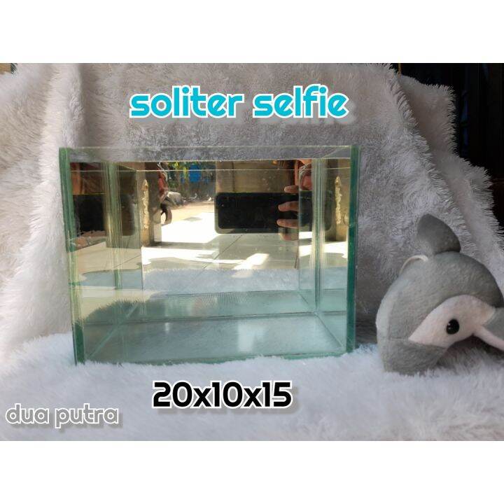 soliter selfie ukuran 20x10x15 kaca 5mm ikan hias dan cupang | Lazada ...