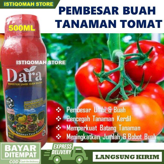 Pupuk Cair Pembesar Buah Tomat Terbaik DARA 500ML Pupuk Booster Buah Tanaman Sayuran Tomat ...