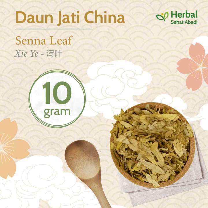 Daun Jati Cina 10 gram / Senna Leaf | Lazada Indonesia
