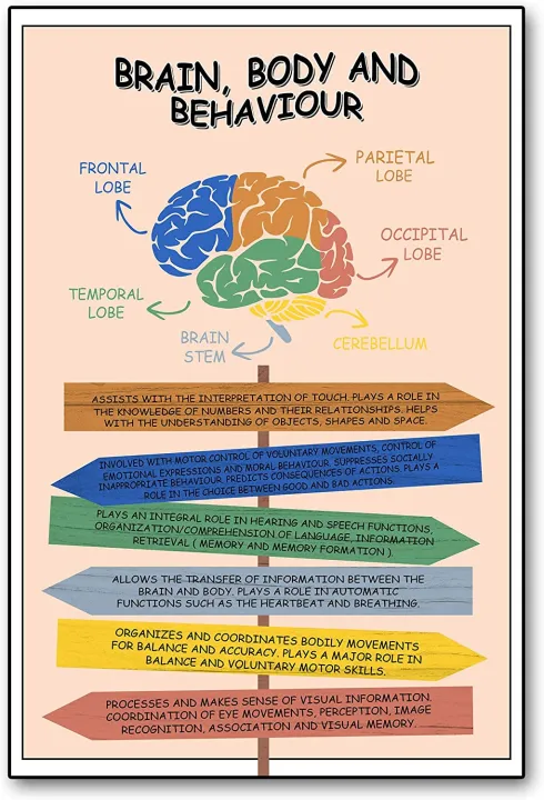 Brain Boby And Behaviour Mental Health Poster Counseling Psychology ...