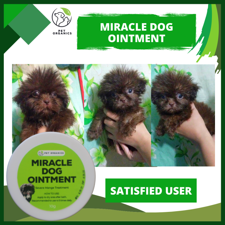 [MAGNESIUM PH] Miracle Dog Ointment Cream For Dog (Healing Cream)| Pure ...