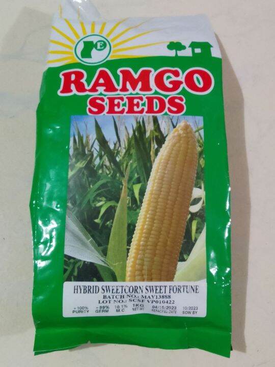 SWEET FORTUNE F1 HYBRID SWEET CORN SEEDS(KILO) BY RAMGO | Lazada PH