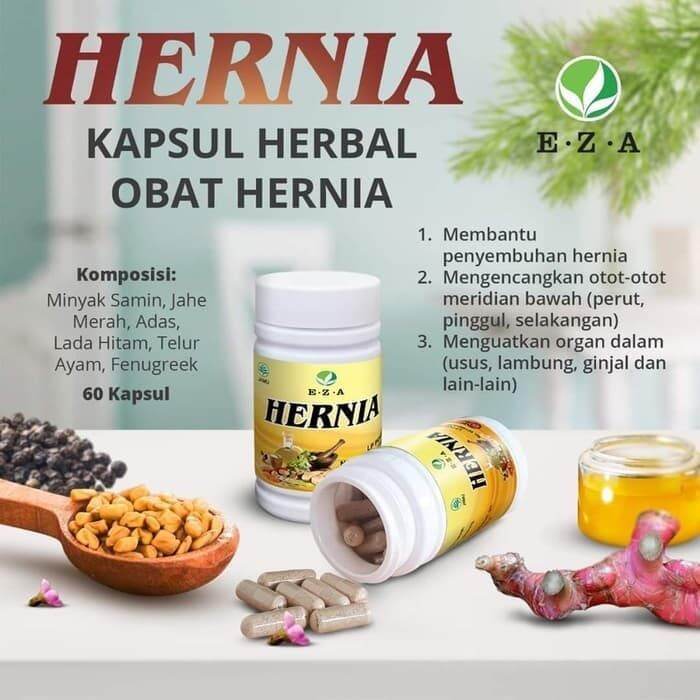SH Kapsul Hernia EZA - Obat Buat Turun Beruk ORIGINAL Ampuh | Lazada ...