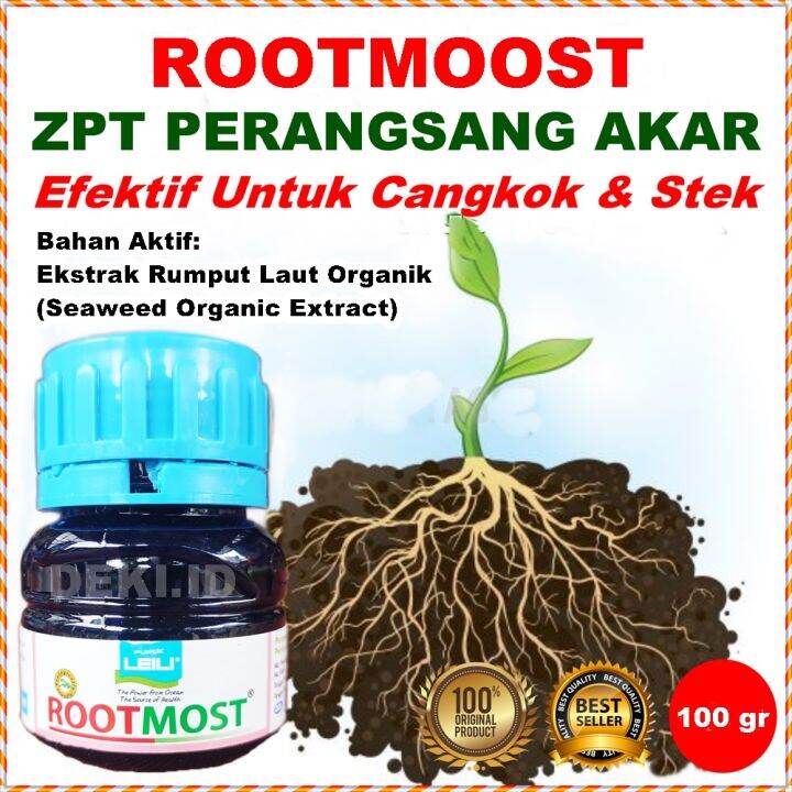 Rootmost 100 ml ZPT Hormon Penumbuh Akar Tanaman Organik Cangkok Stek Anggur Anggrek Hias Buah ...