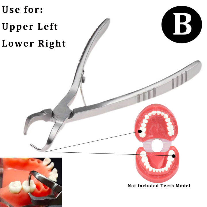 Dental Crown Extractor Plier Teeth Extraction Forcep Tooth Remover ...
