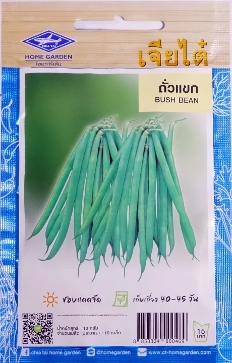 ถั่วแขก Bush bean เมล็ดพันธุ์ เจียไต๋ ตราเครื่องบิน อัตราความงอก 80% ...