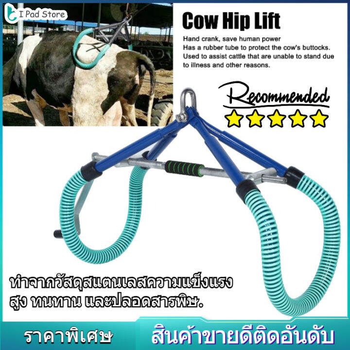 Cow Stand Support Stand Up Assist Device โครงใส่ขาตั้งสแตนเลสสำหรับ ...
