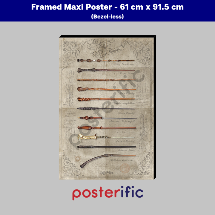 Harry Potter (The Wand Chooses The Wizard) - Poster (61 cm X 91.5 cm ...