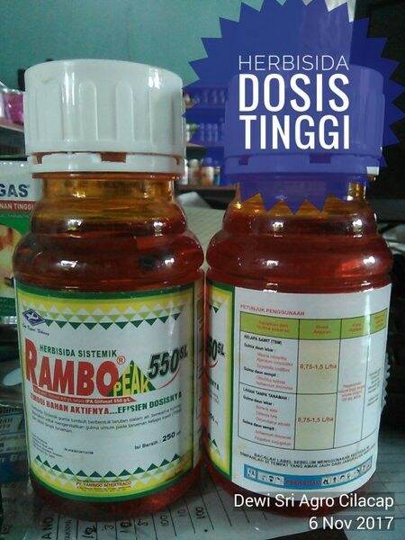 OBAT RUMPUT TINGGI PALING BERSIH RAMBO PEAK 550 SL KEMASAN 250 ML ...