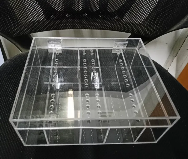 Acrylic Archwire Organizer | Lazada PH