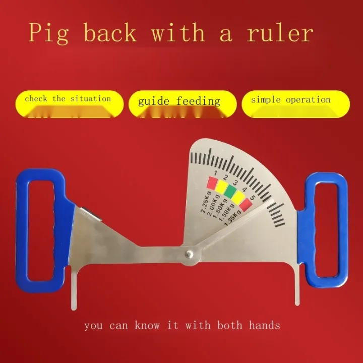 Pig with feeding caliper stainless steel feet pig feeding management of ...