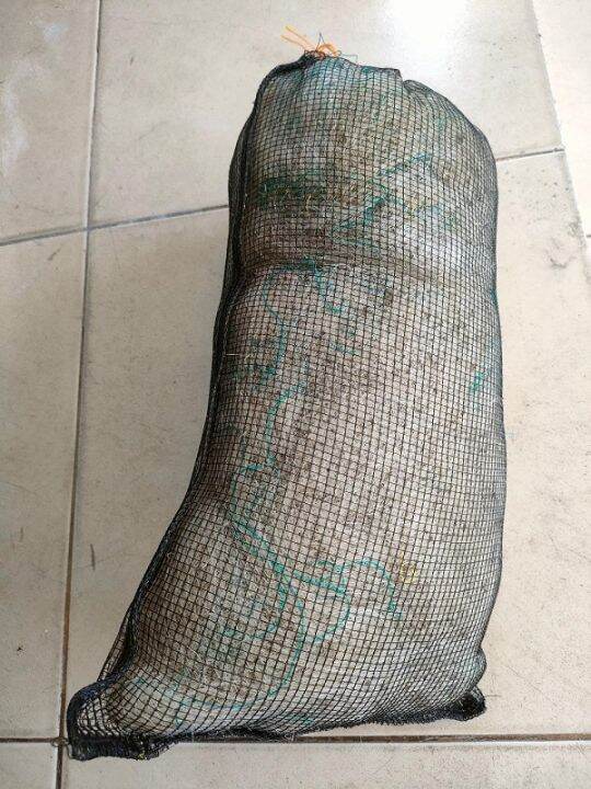 Jaring Nelayan Media Filter Kolam Ikan Plus Waring Jaring | Lazada ...