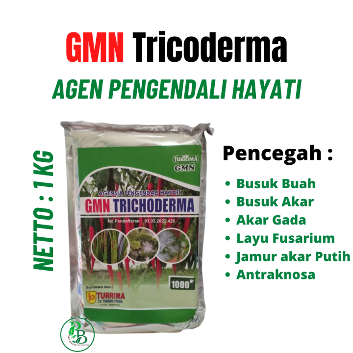 PUPUK GMN Tricoderma 1 kg anti layu fusarium Padi, Obat Anti Moler ...