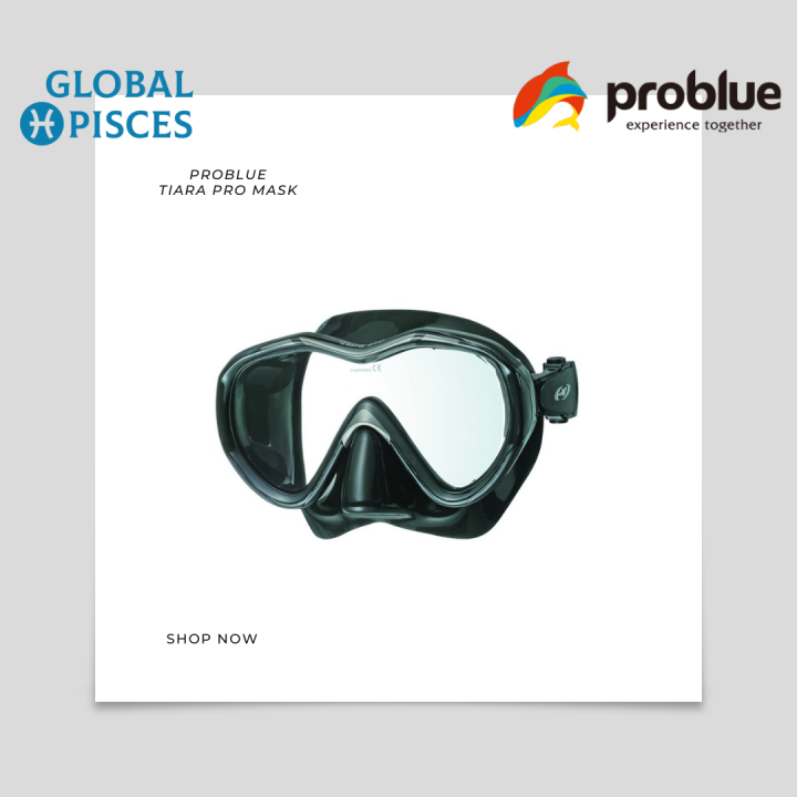 PROBLUE Tiara Pro Mask | Lazada