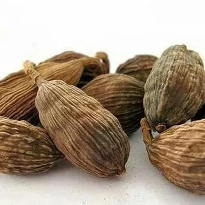 CAO GUO BLACK CARDAMOM KAPULAGA HITAM TSAOKO AMOMUM FRUIT 草果 100g ...