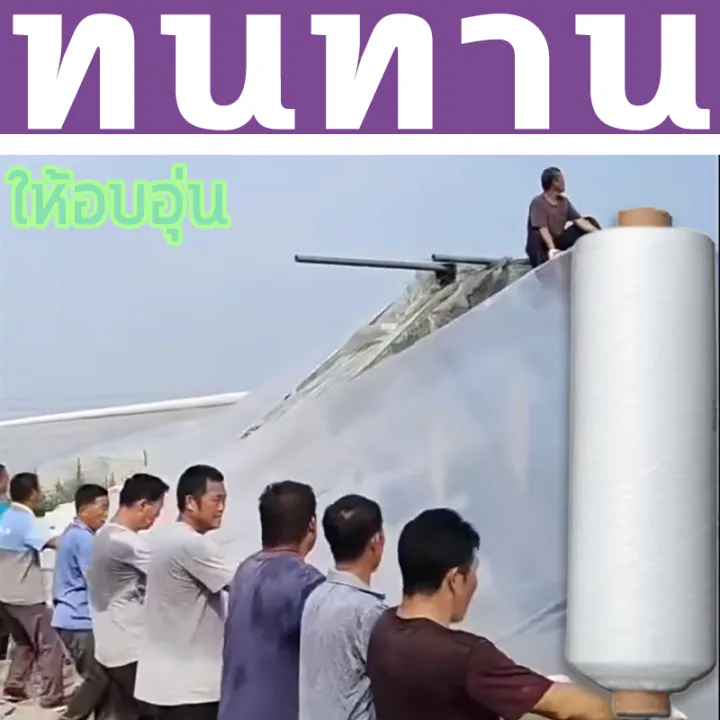 JDG 10คนดึงไม่หัก พลาสติกโรงเรือน ความยืดหยุ่นสูงไม่แตกหักง่าย วัสดุนำเข้า ไม่เป็นพิษและไม่มี ...