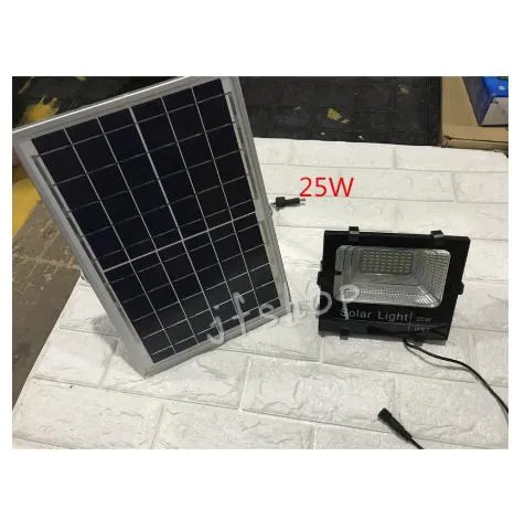 Heavy Duty Solar Light And Panel | Lazada PH
