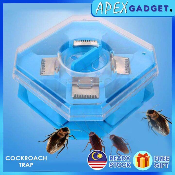 AP roach Catcher Trap / Trap Lipas / Perangkap Lipas / roach Killer ...